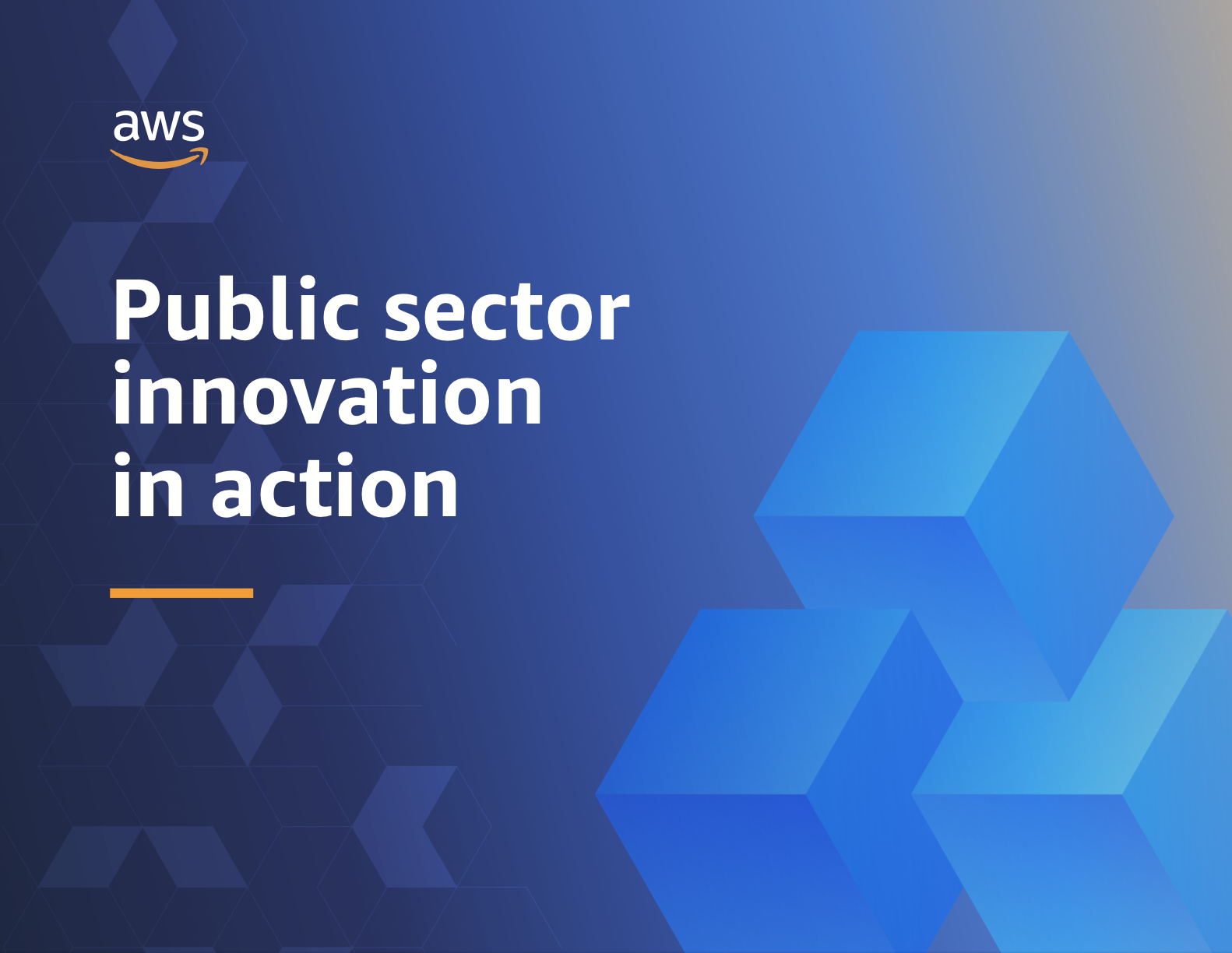 Public sector innovation in action