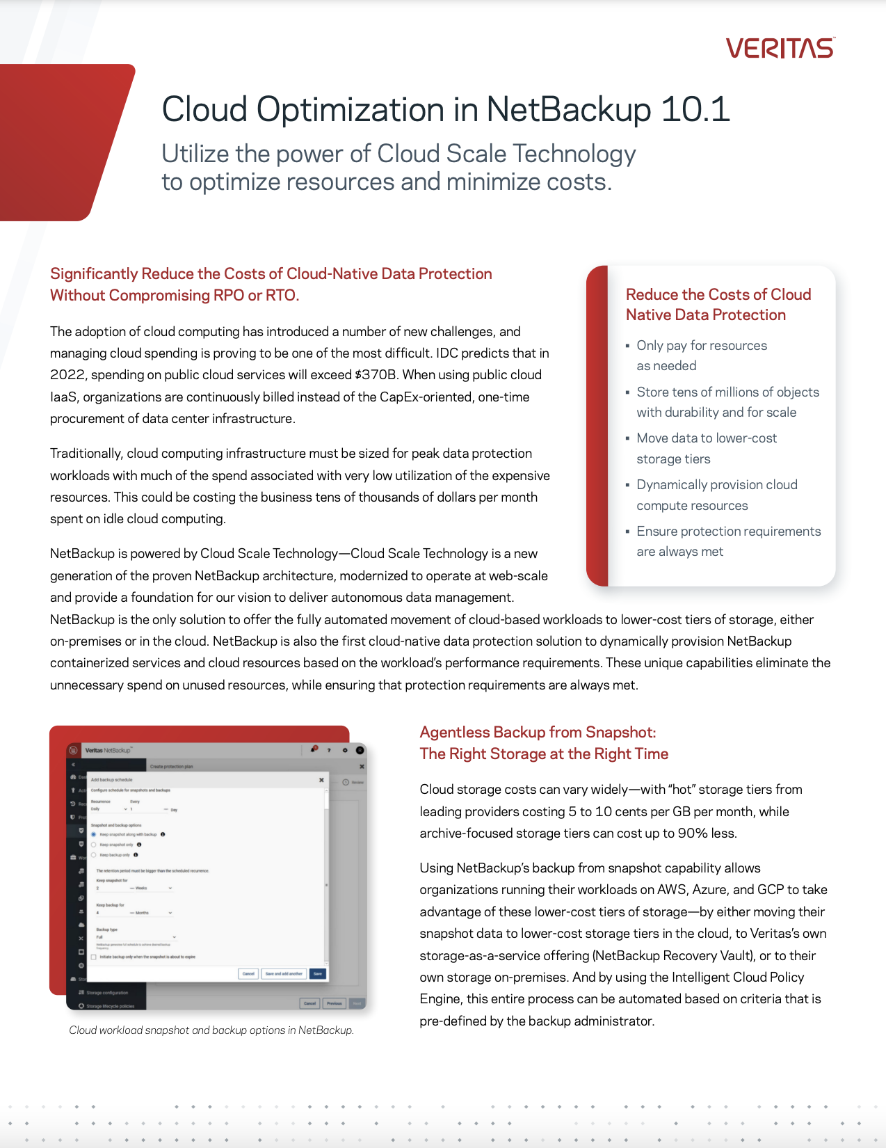 Cloud Optimization in NetBackup 10.1